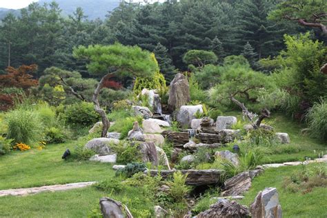 무료 이미지 경치 록 꽃 못 흐름 뒤뜰 식물학 정원 초목 식물원 물 특징 생태계 5184x3456