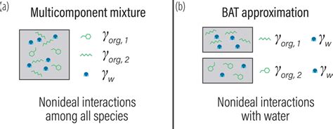 A Schematic Of A Realistic Model For Mixture Component Activity Download Scientific Diagram