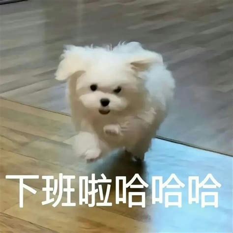 可爱表情包 高清图片，堆糖，美图壁纸兴趣社区