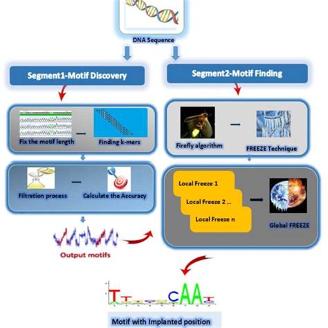 A Proposed Architecture For S2f And Fff Algorithms Corresponds To Motif