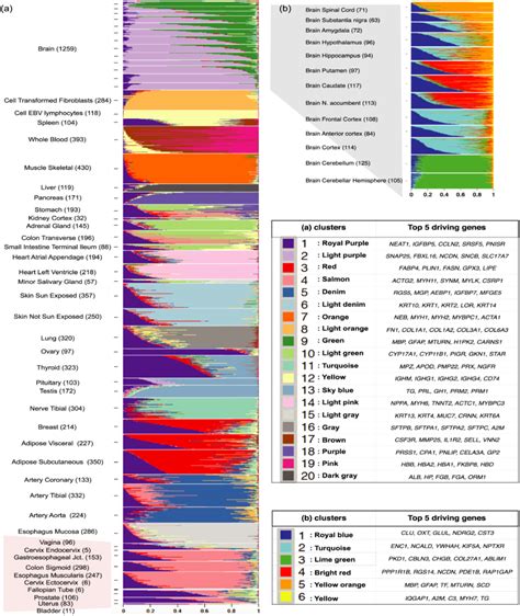Countclust Visualizing The Structure Of Rna Seq Expression Data Using
