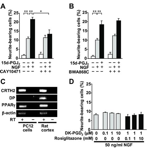 Crth2 Antagonist Cay10471 Inhibits 15d Pgj 2 S Promoting Effect On