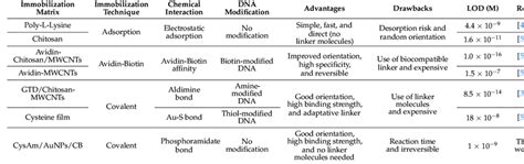 Comparison Of Different Strategies Of Ssdna Probe Immobilization On