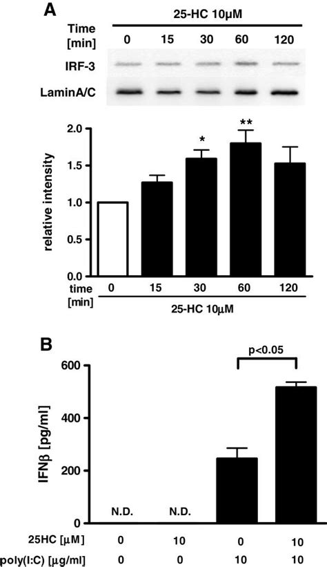 Effect Of 25 Hc On Interferon Regulatory Factor 3 Irf3 And Download Scientific Diagram