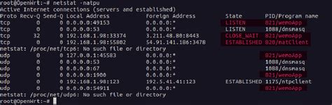 ‘friendlyname buffer overflow vulnerability in wemo smart plug v2 sternum iot