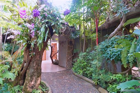 清邁黑森林餐廳「清邁米其林餐廳」 Khaomao Khaofang 連四年獲選米其林世界前十大森林餐廳一定要訂位 Stancy