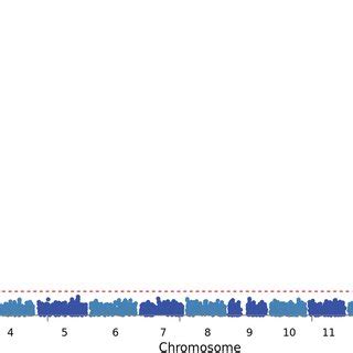 Manhattan Plot Of SNP Based Test For The Drinking Variable Adjusted Download Scientific