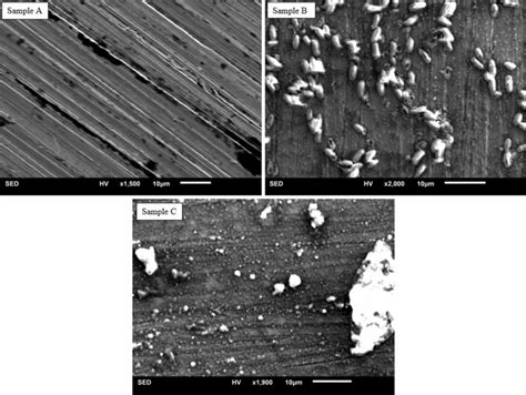 Scanning Electron Microscope Sem Secondary Electron Detector Sed Download Scientific