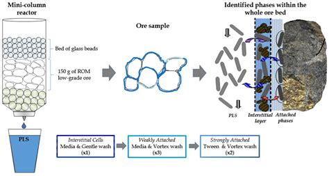 Illustration Of Detachment Protocol For Identified Ore Associated Phases Download Scientific