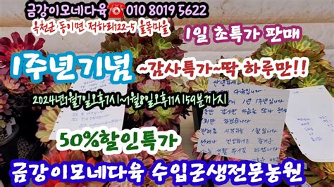 마감 수입군생다육전문1주년 기념~신년 감사세트 딱1일만 절반가로 신년특집 화려한 꽃다발 금종자 에어니옴 50할인가 모듬