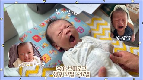 육아 브이로그 생후 37일~47일ㅣ배앓이 잠투정 하는 신생아ㅣ라라스 베개 꿀잠ㅣ하루하루 쑥쑥 크는 우래기 💗 Youtube