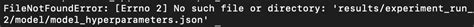 ludwig not producing hyperparameters json file in results folder