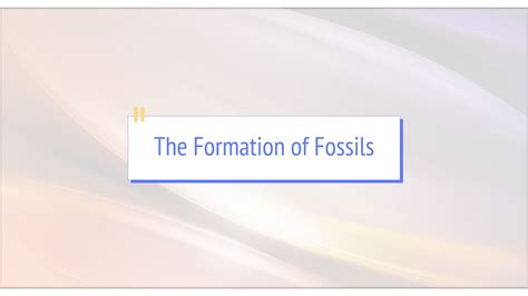 The Formation Of Fossils Animated Video By Animated Maestro Mango Animate