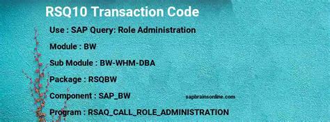 RSQ SAP Tcode For SAP Query Role Administration