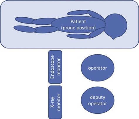 Layout Of Equipment And Workplace For Endoscopic Operators In ERCP Download Scientific Diagram