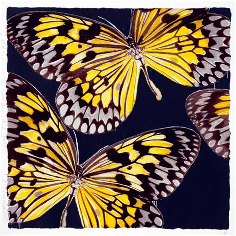 Donald Sultan Butterflies Jan 25 2006 For Sale At 1stdibs