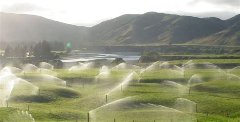 Solid Set Fixed Grid Irrigation Think Water Canterbury Irrigation Specialists