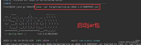 linux安装git和maven——拉取代码 ＞ mvn打包成jar包 ＞运行jar包 linux服务器mvn打包 csdn博客