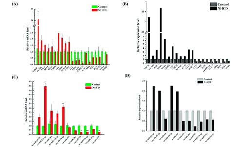 Quantitative Rt Pcr Validation A Quantitative Rt Pcr Validated Degs