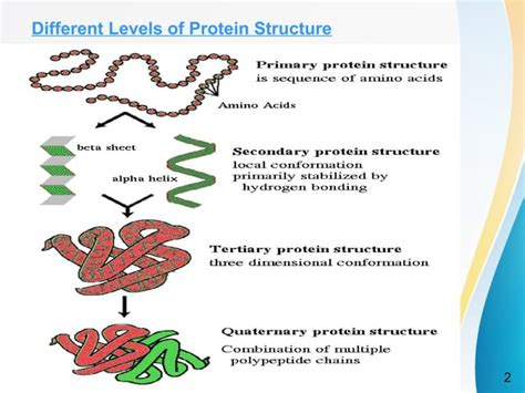 Methods For Protein Structure Prediction Ppt Chemistry Science