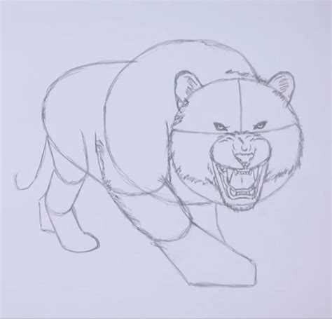 How To Draw A Tiger Step By Step