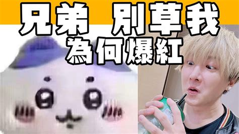 兄弟 別草我 吉伊卡哇梗圖為何爆紅 【動畫博物館】 Youtube