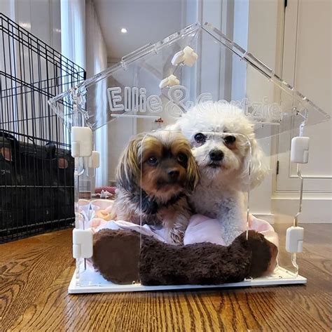 Michael Vogler On Linkedin Some More Happy Customers Have A Great