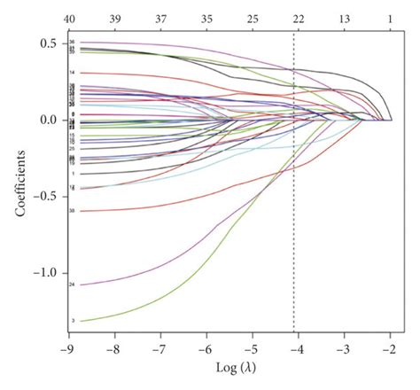 Construction Of Lasso Models A Selection Of The Tuning Parameter λ