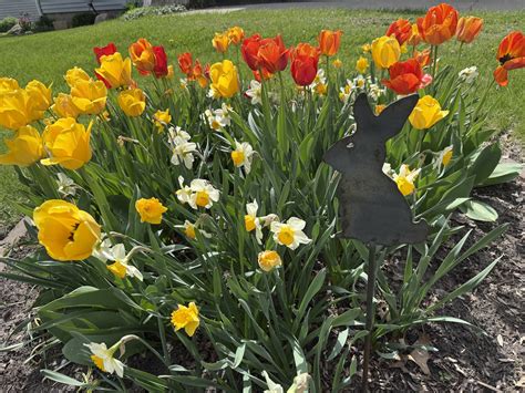 Compass Memorial Healthcare Compass Memorial Healthcare