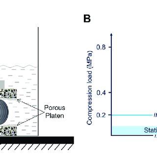 Experimental Setup A And The Compression Testing Protocol B Of The Download Scientific