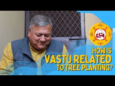 How Is Vastu Related To Tree Planting