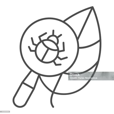 잎 얇은 선 아이콘에 돋보기 아래 딱정벌레 알레르기 개념 흰색 배경에 돋보기 기호 에서 곤충 윤곽 스타일의 돋보기 아이콘 아래 검색 기생충 벡터 그래픽 0명에 대한 스톡