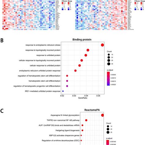 Functional Enrichment Analysis Of Mir 26b 3p In Cca A The Correlated Download Scientific