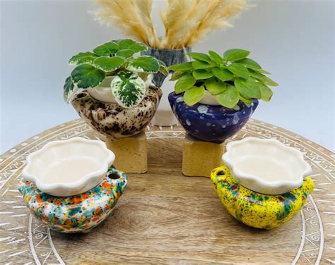 African Violet Pot For Leaf Propagating Itty Bitty Pot Indoor Planter Self Watering African