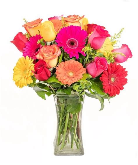 Pick Me Up Bouquet Premium 19 Stems Gerbera Daisy Contemporary