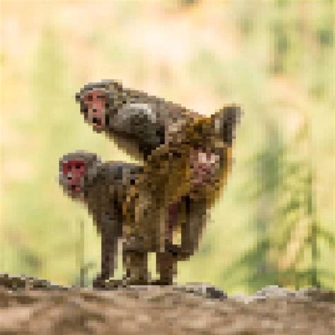 The Portfolio Of Ziggy Samuels