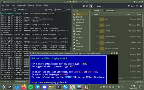 The Flatpak Version Does Not Create The Dosbox Nf Automatically If It Starts From