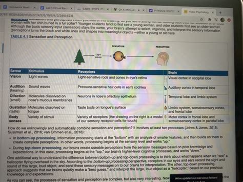 Psych Flashcards Quizlet