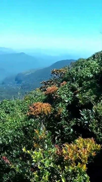 Pastal Colors 🌈 ️💐 පාට පිරුනු ලෝකයක් Colourful Vivid Spectacular Youtube