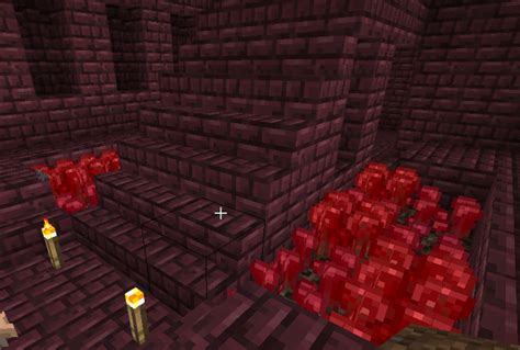 How To Build A Nether Wart Farm In Minecraft LevelSkip