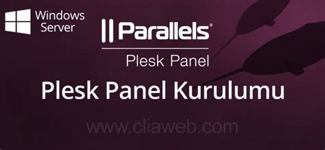 Windows Server Plesk Panel Kurulumu