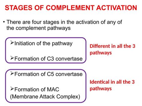 Complement System Mbbs 2023513820160 Pptx