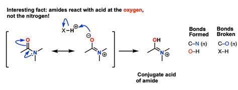 Reverse Of Amide Formation