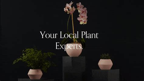 Schwartz Edmisten Web Design Squarespace Css Expert