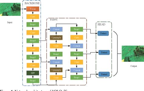 Figure 1 From Detection Method Of Marine Biological Objects Based On