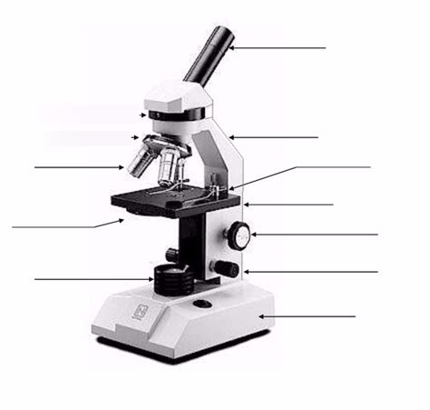 Microscope Labeling Quiz Diagram Quizlet