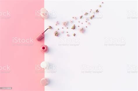파스텔 핑크와 화이트 배경에 작은 꽃 장식핑크 매니큐어 레이아웃과 트렌디 한 디자인 템플릿 플랫 레이 스타일 공간을 복사합니다