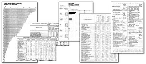 Scb The Development Of Beas Input Output Framework December 2020