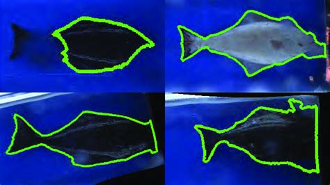 Examples Of Bad Segmentation In A Chute Monitoring System First Row