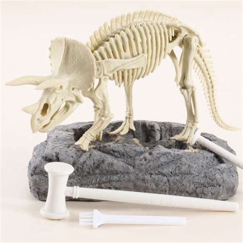 Jual Diy Dig Dinosaurus Fossil Main Puzzle Menggali Fosil Dino 3d Akreolog Stegosaurus Di